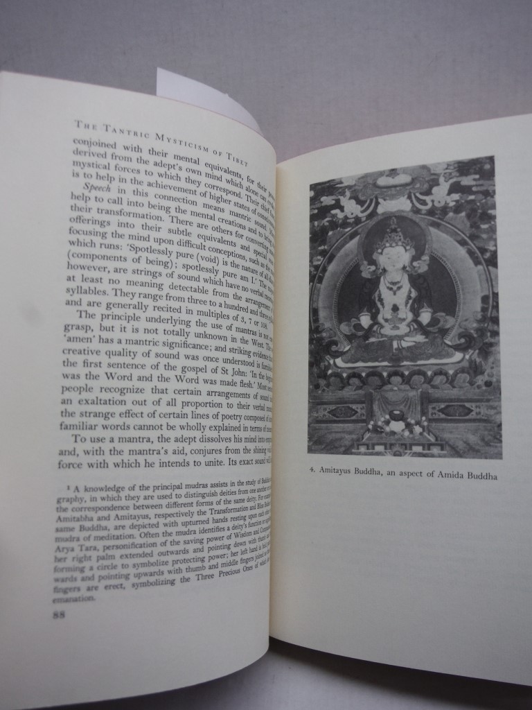 The Tantric mysticism of Tibet: A practical guide